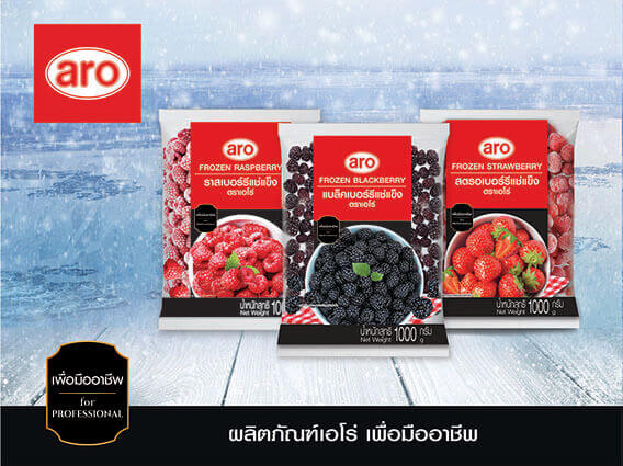 aro | สินค้าคุณภาพจาก makro